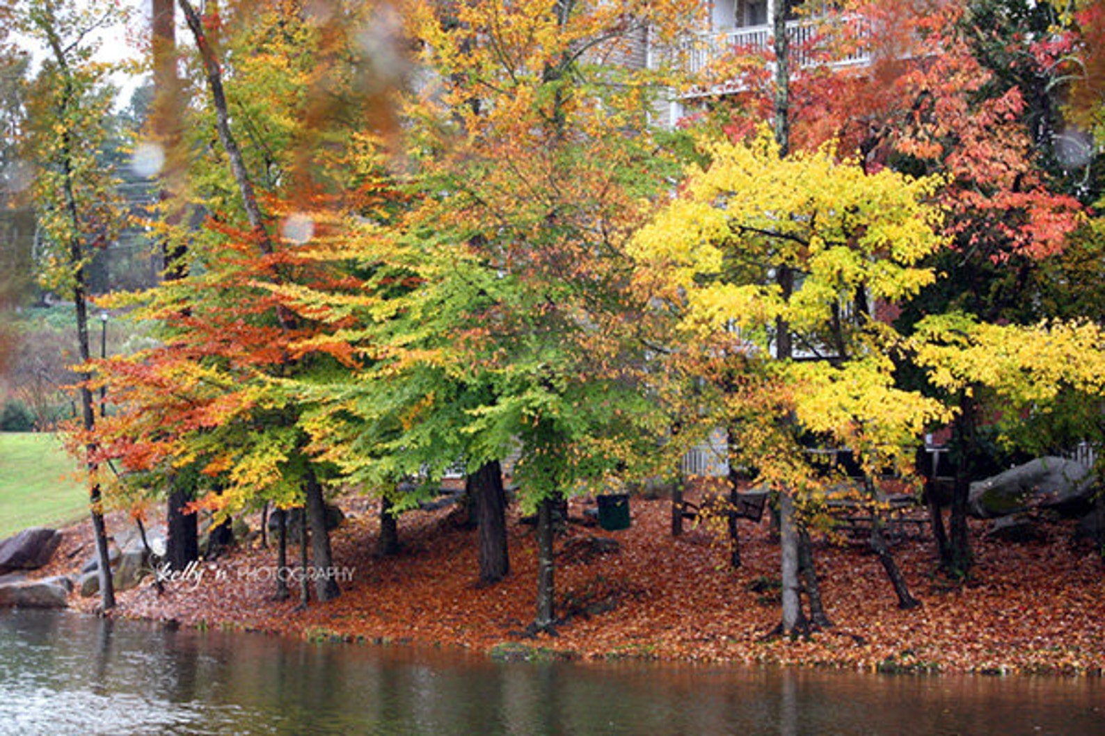 Fall Photography- Autumn Trees Print, Fall Foliage Landscape Photograph ...