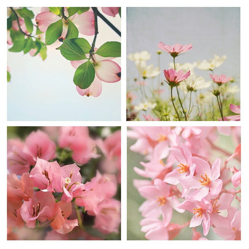 Make Any Photo 5x7 or 5x5- Custom Sizing, Your Choice From My Shop ...