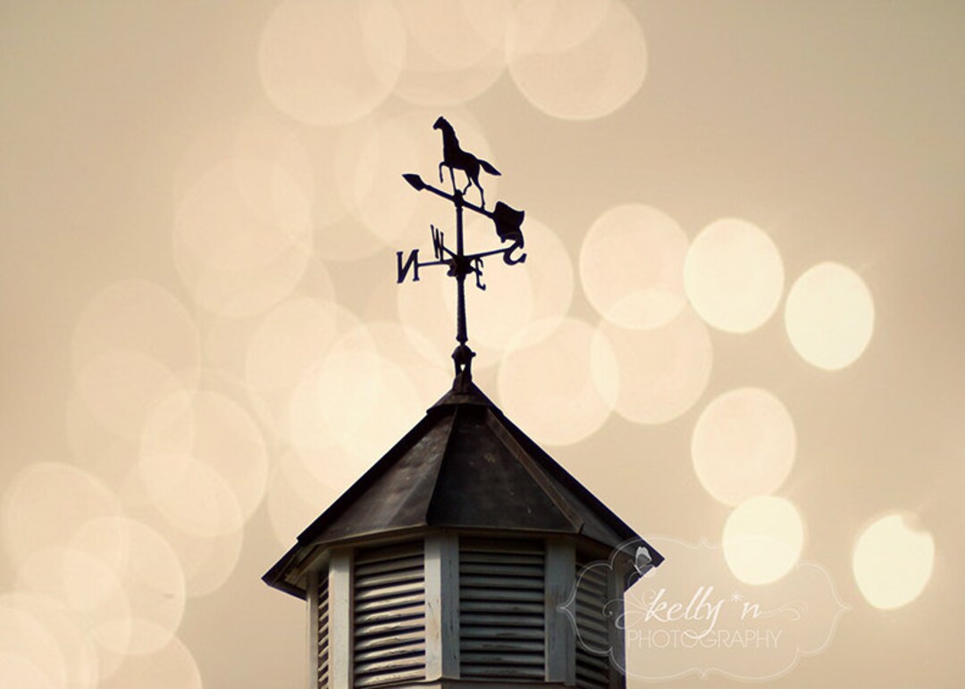 Weather Vane Photo- Horse Weather Vane Print, Country Decor, Farm House ...