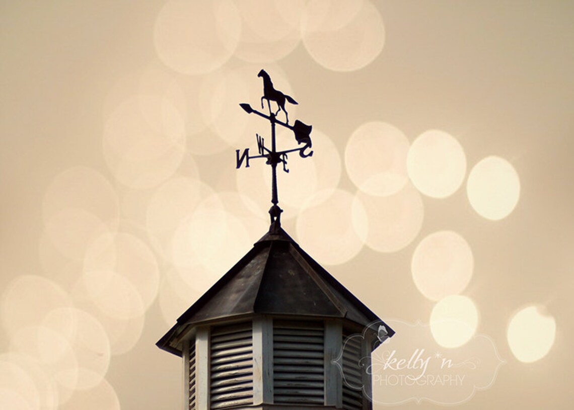 Weather Vane Photo Horse Weather Vane Print Country Decor - Etsy