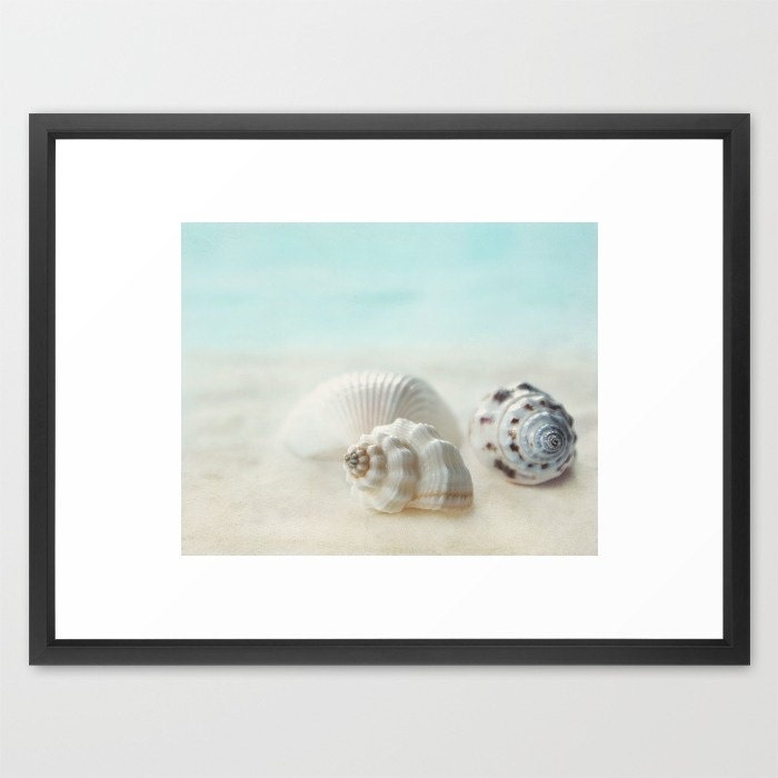 Seashell Photography, Shells Print, Beach Photography, Beach House ...