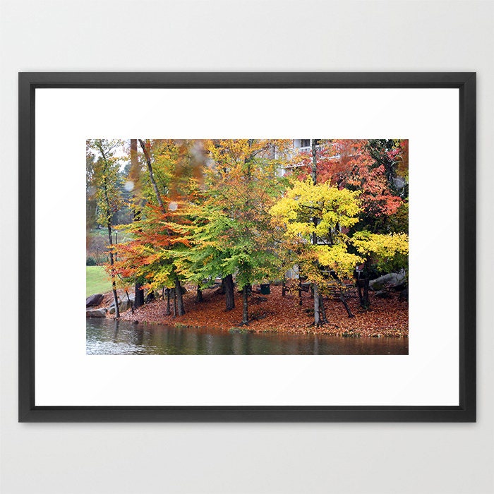 Fall Photography- Autumn Trees Print, Fall Foliage Landscape Photograph ...