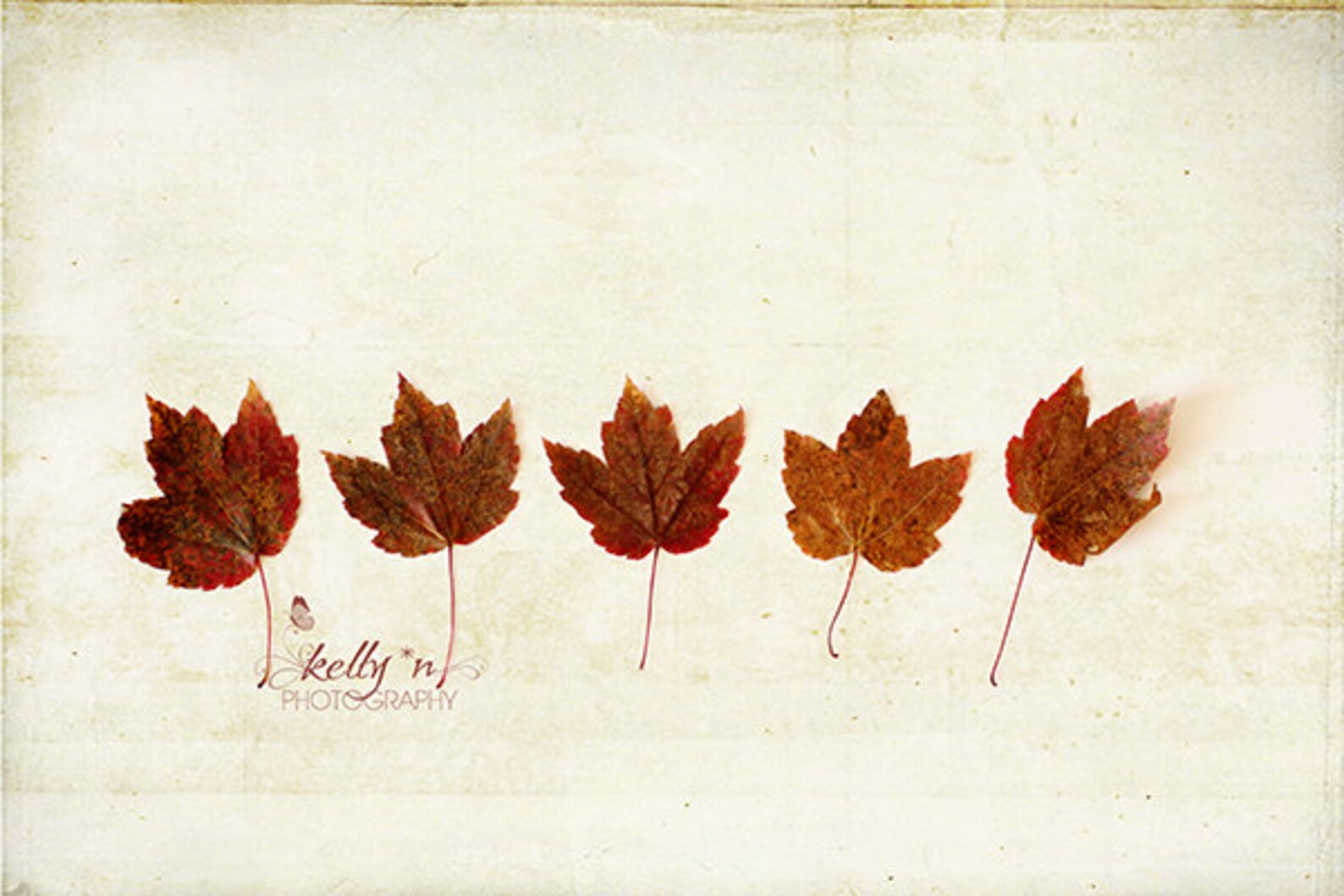Maple Leaf Photography- Two Print Set, Autumn Maple Leaves Print Set ...