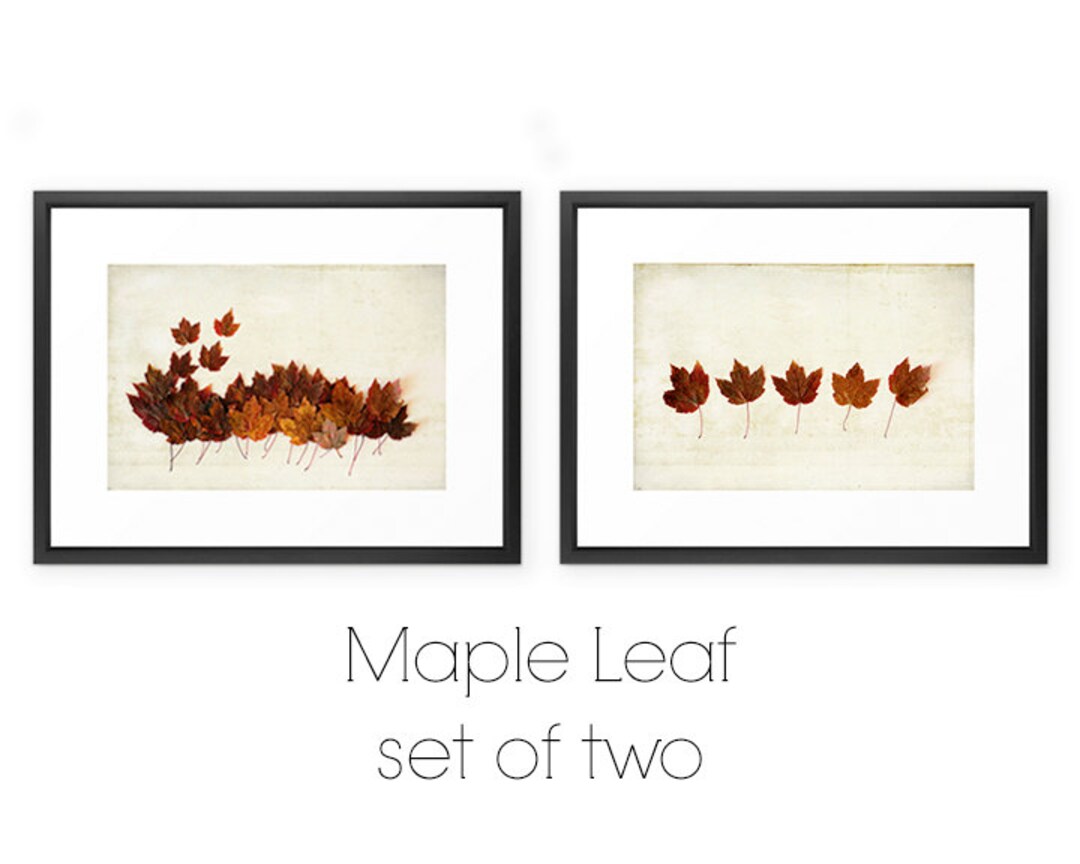 Maple Leaf Photography- Two Print Set, Autumn Maple Leaves Print Set ...
