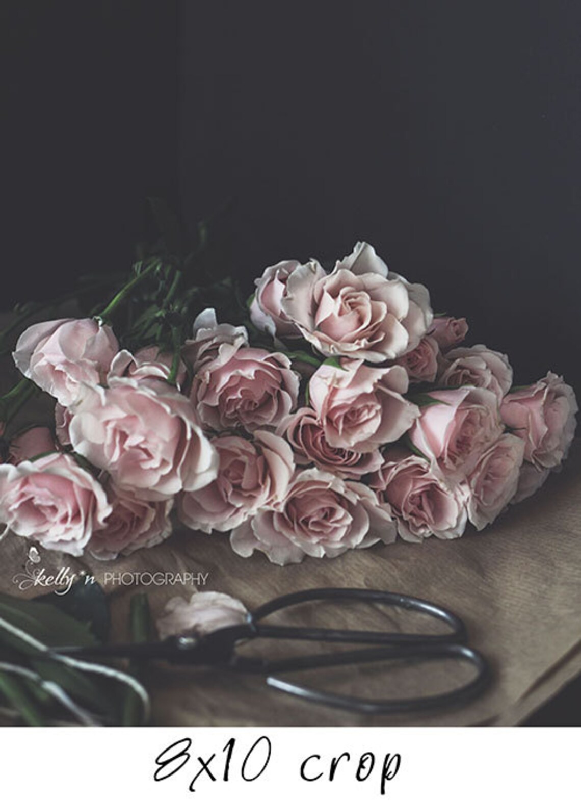 Still Life Photography- Pink Roses Photograph, Dark Floral Still Life ...