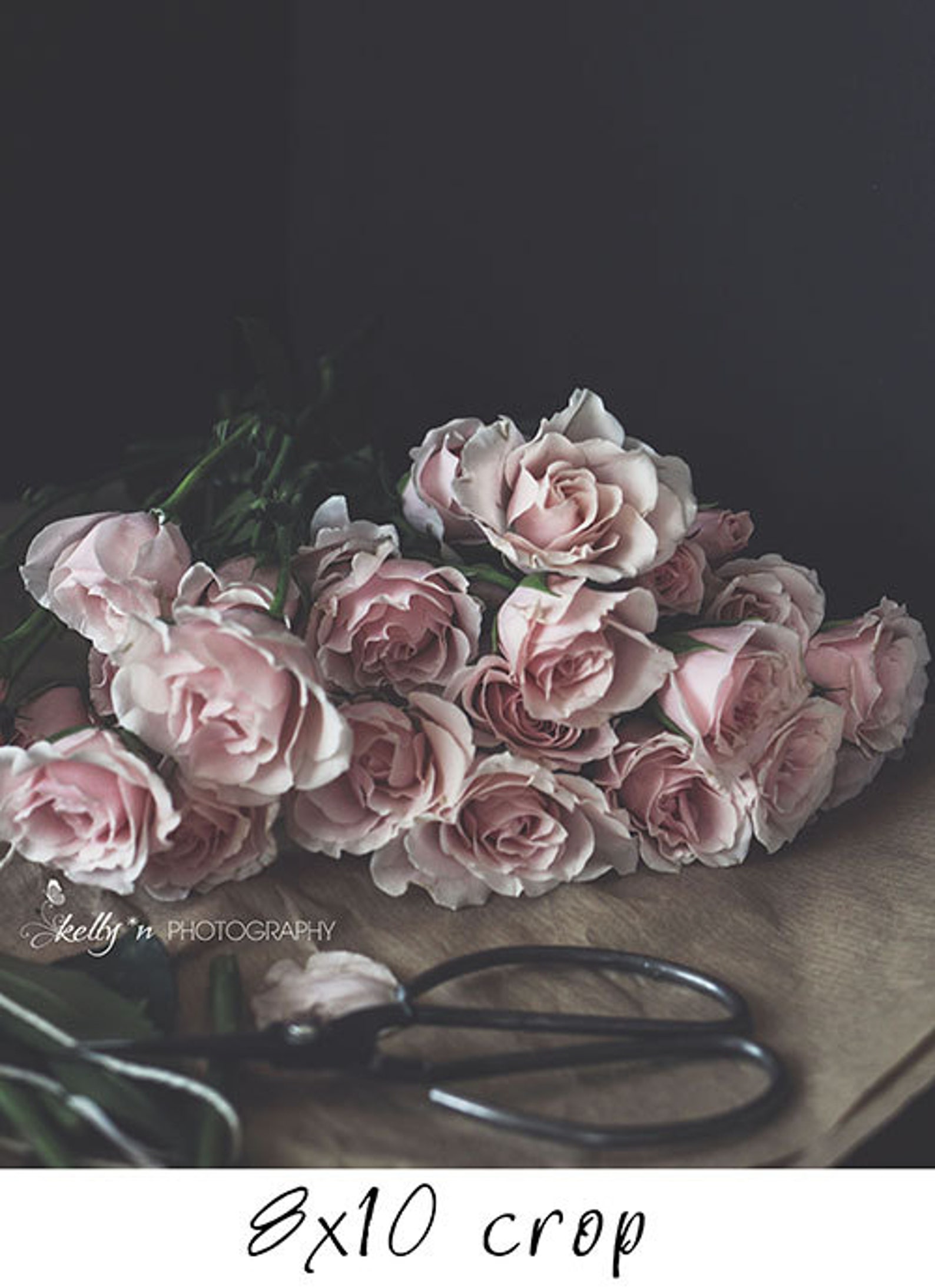 Still Life Photography- Pink Roses Photograph, Dark Floral Still Life ...