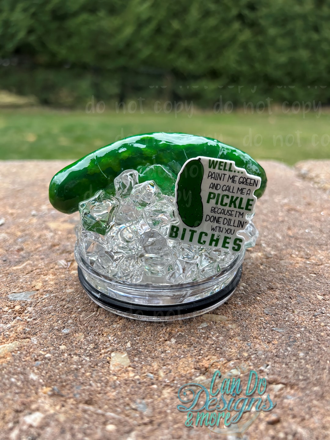 Pickle Bitches 3D Fake Ice Lid Fits 30oz or 20oz Skinny Straight ...