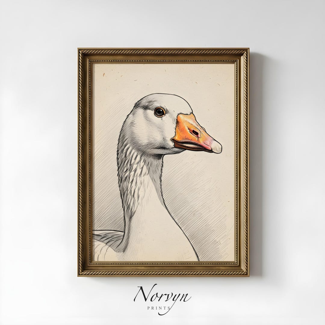 Vintage Goose Drawing, Farmhouse Kitchen Wall Art (digital Download) - Etsy