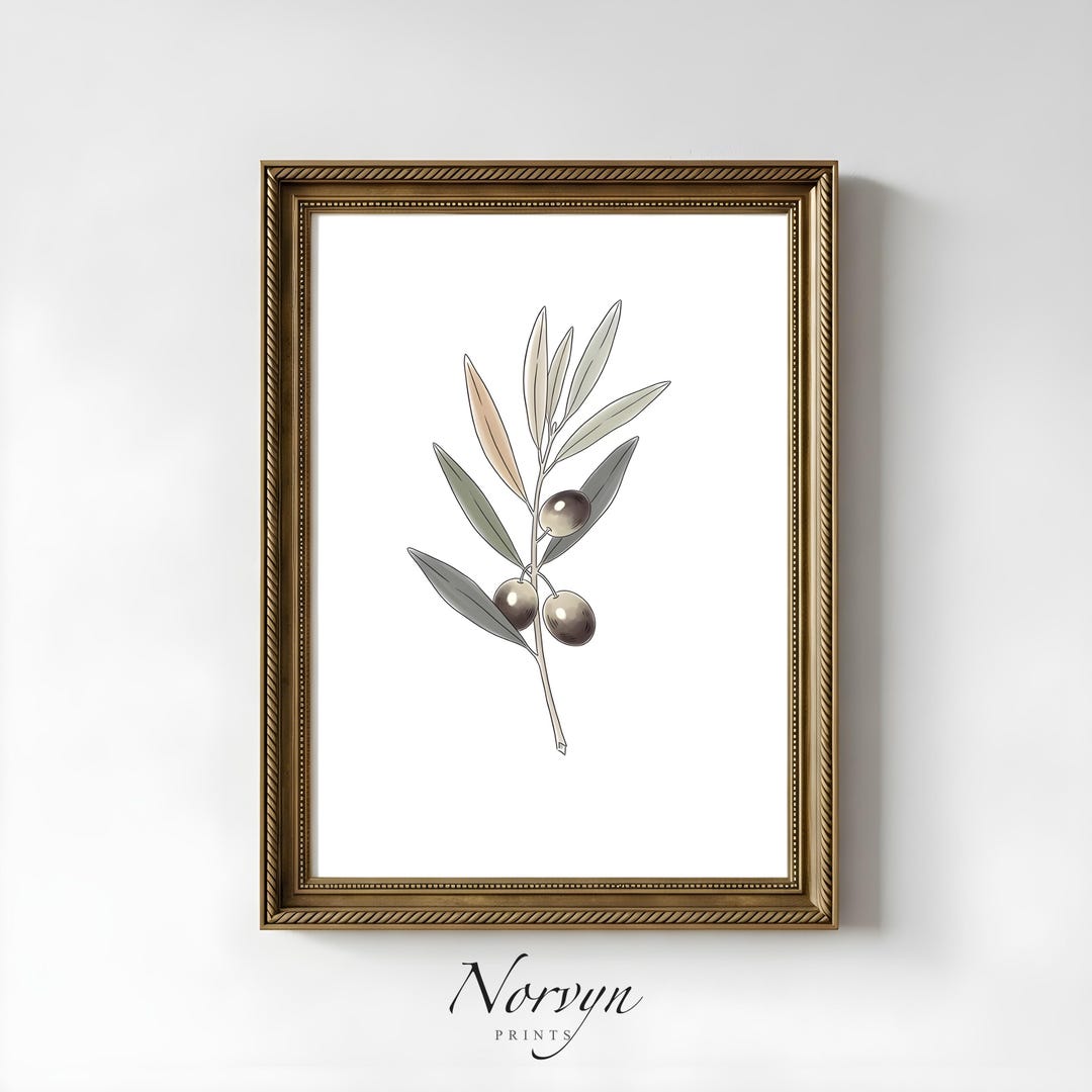 Vintage Olive Branch Printable Wall Art, Botanical Kitchen Illustration ...