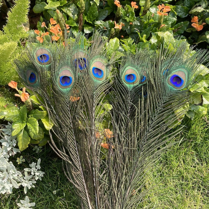 Feathers Iridescent Glass - Etsy