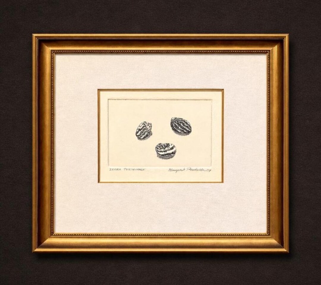 Zebra Periwinkle, by Margaret Philbrick, Original Hand-printed Etching ...