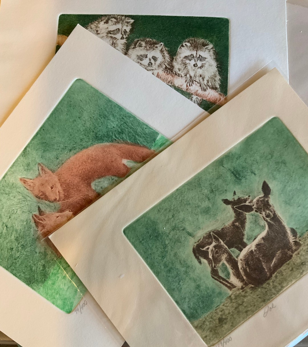 Three Hand Colored Etchings by W.J. Graham - Etsy