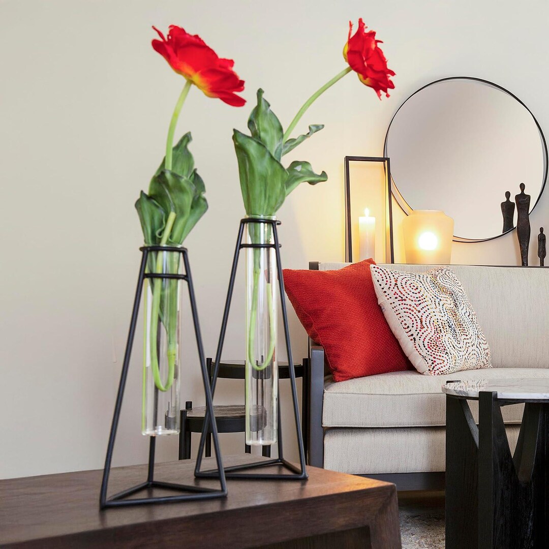 Concave Glass Tube Vase for Flowers & Plants | Modern Decorative Glass ...