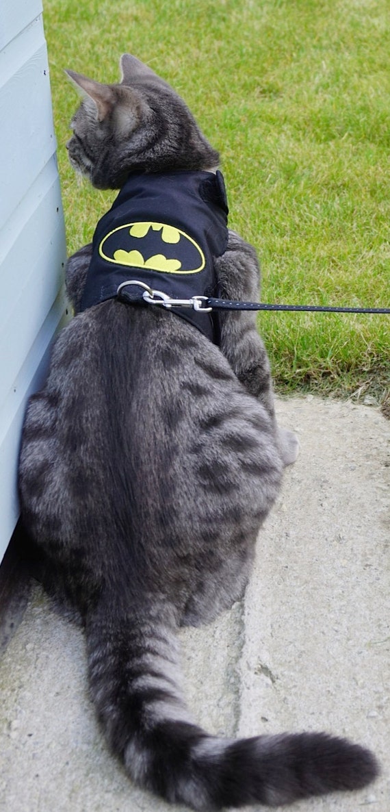 Cat Batman Costume