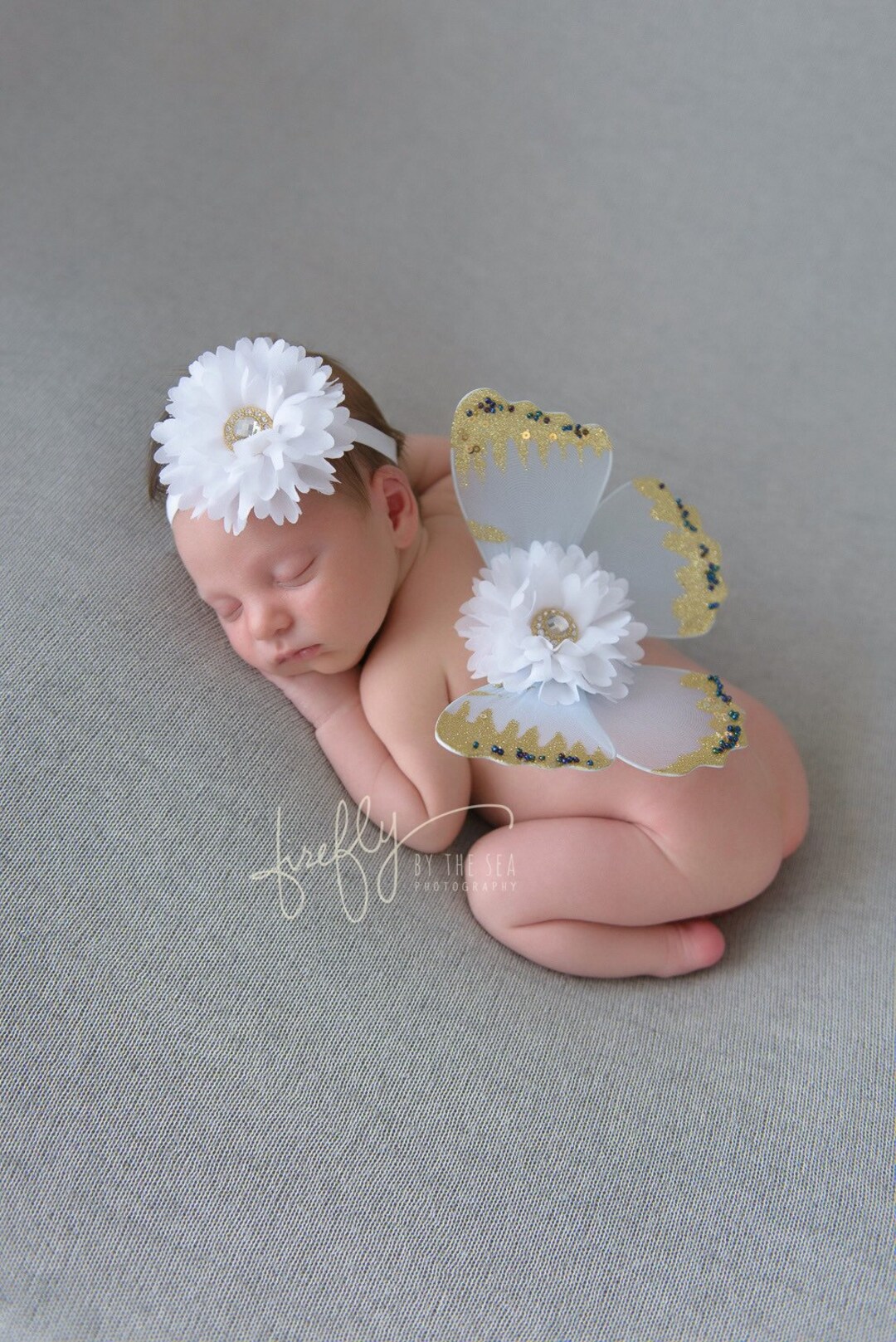 Blue, Gold and White Cinderella Wing Set for Newborn Photos, Newborn ...