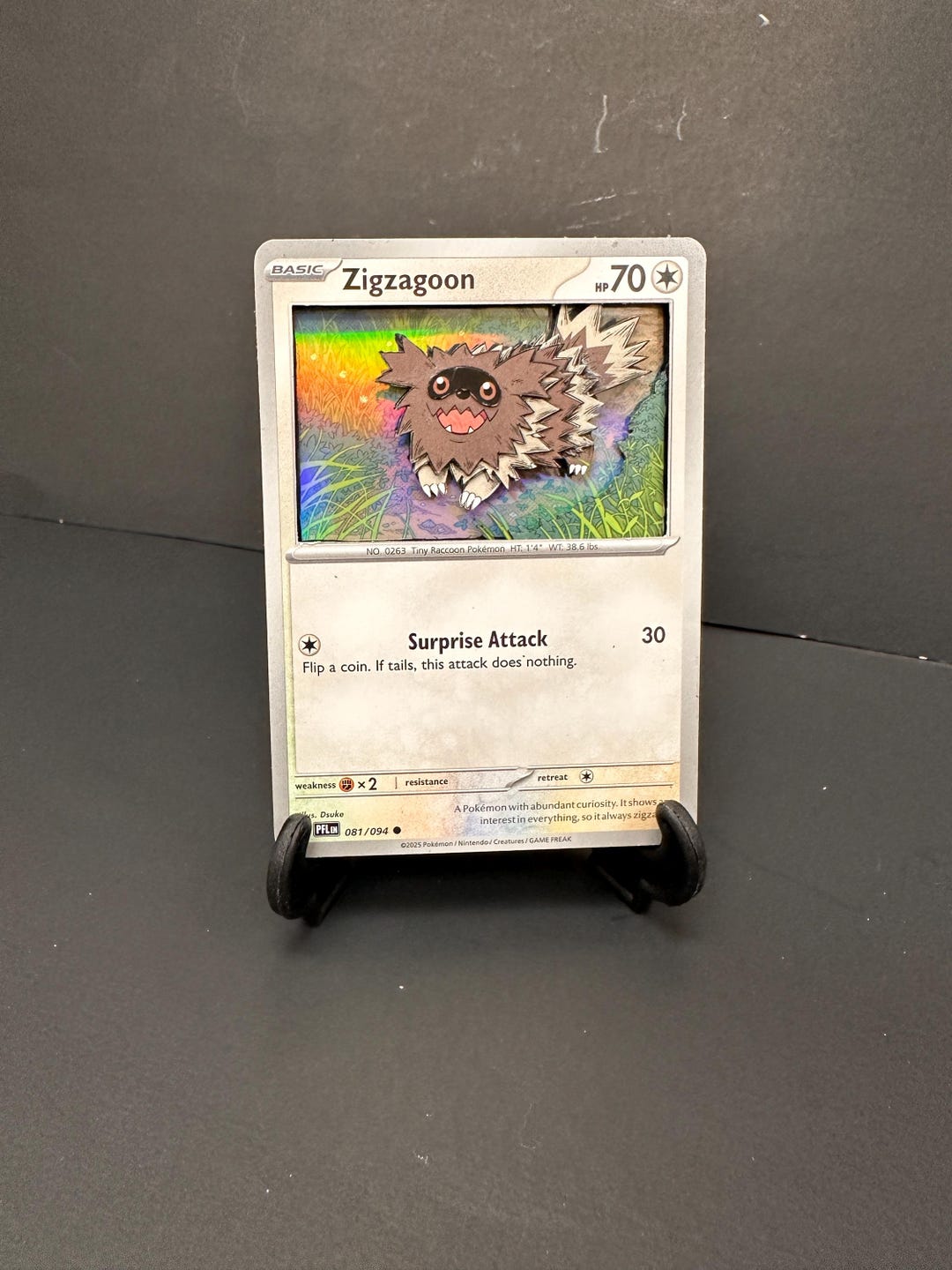 Custom 3D Shadowbox Zigzagoon Authentic Pokemon Trading Card Game With ...