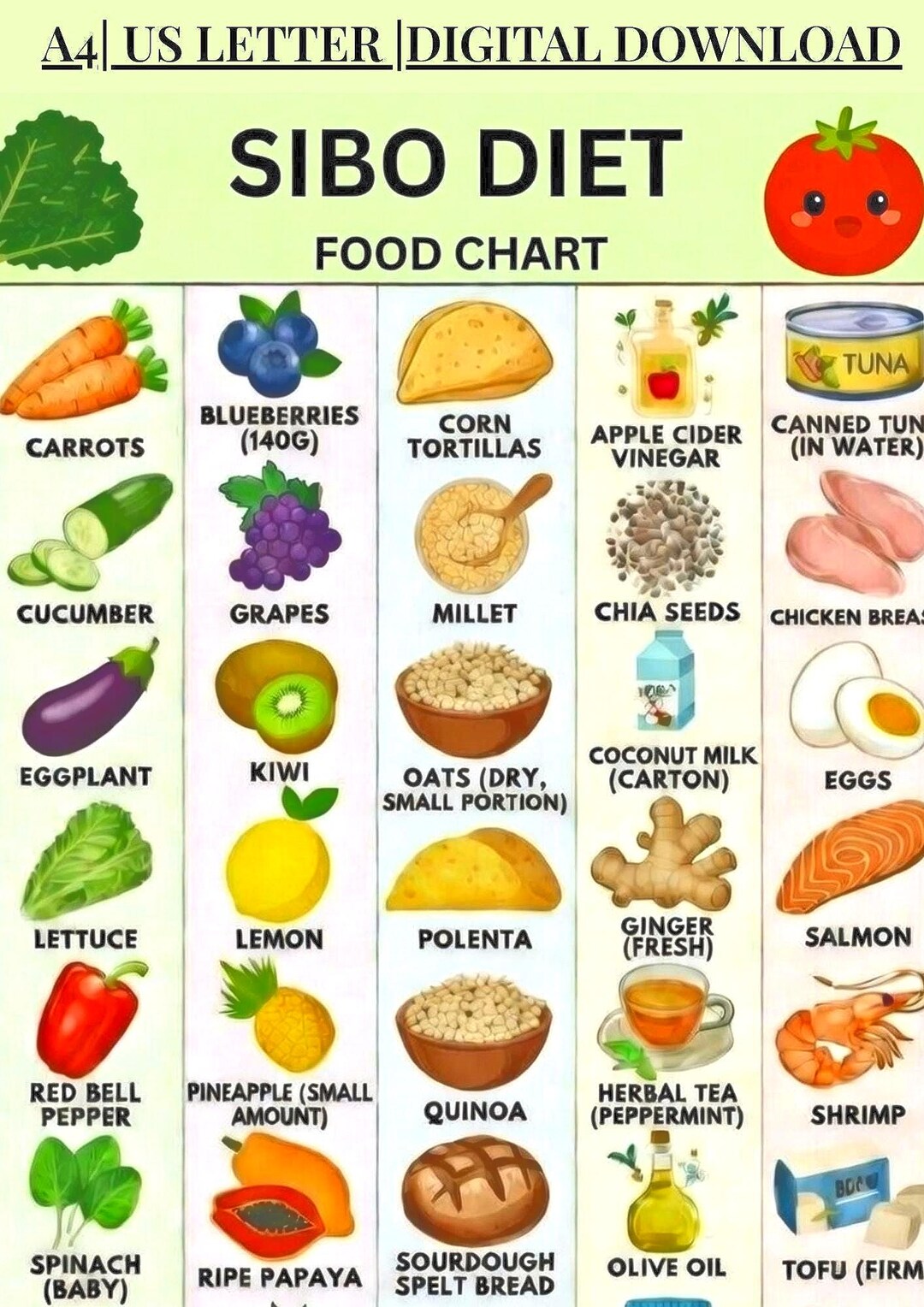 SIBO Diet Food Chart Printable, Low FODMAP Food List, Gut-friendly ...
