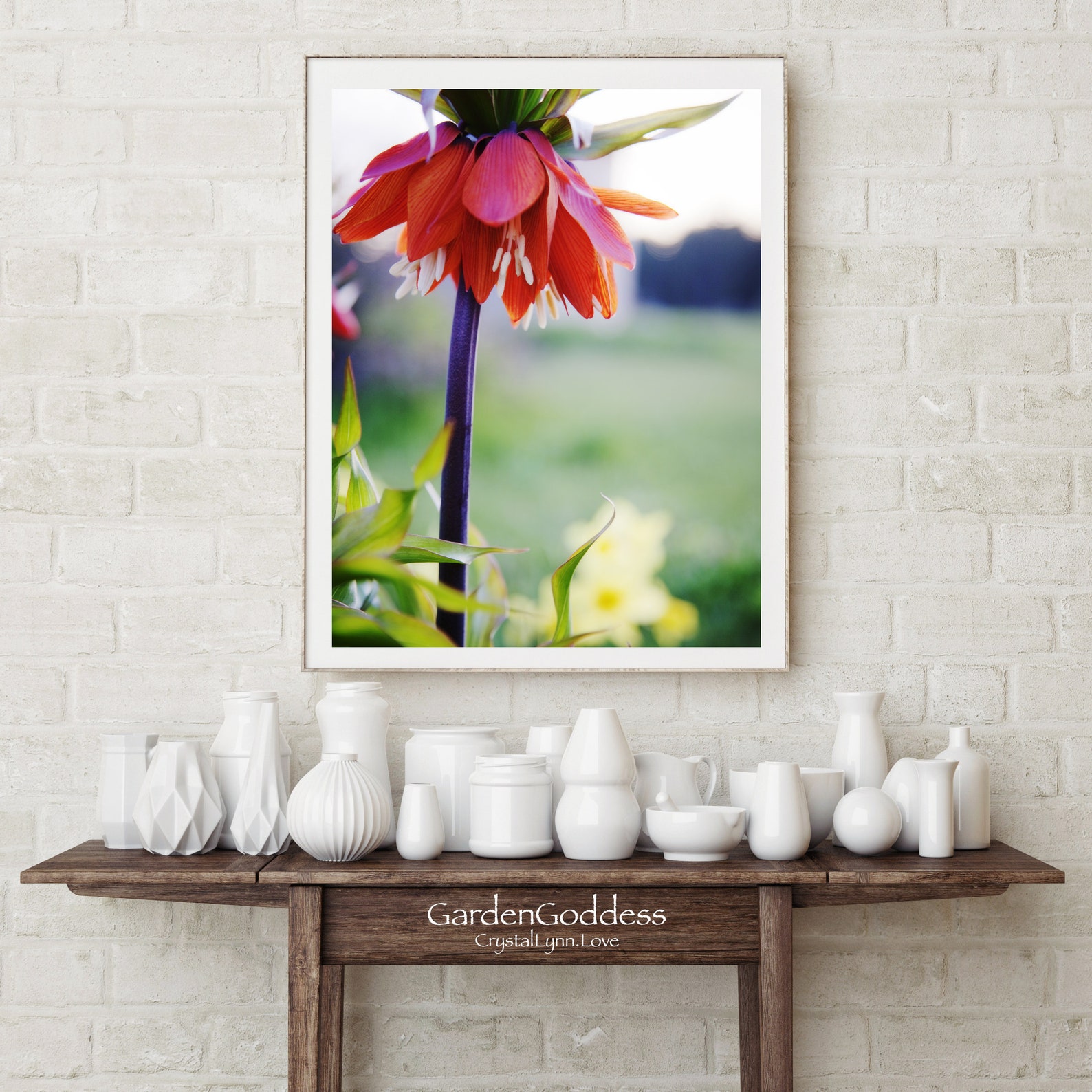 Red Crown Imperial Flower Fine Art Photography Print, Instant Digital ...