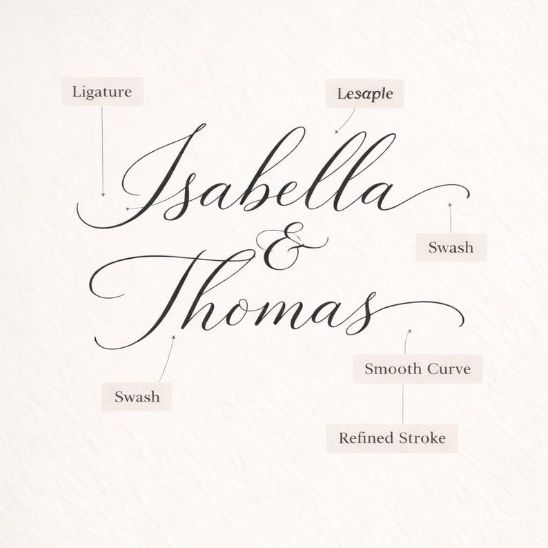 Wedding Calligraphy Font Bundle 100 Elegant Script Fonts Digital ...