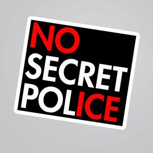 No Secret Police Decal - Etsy