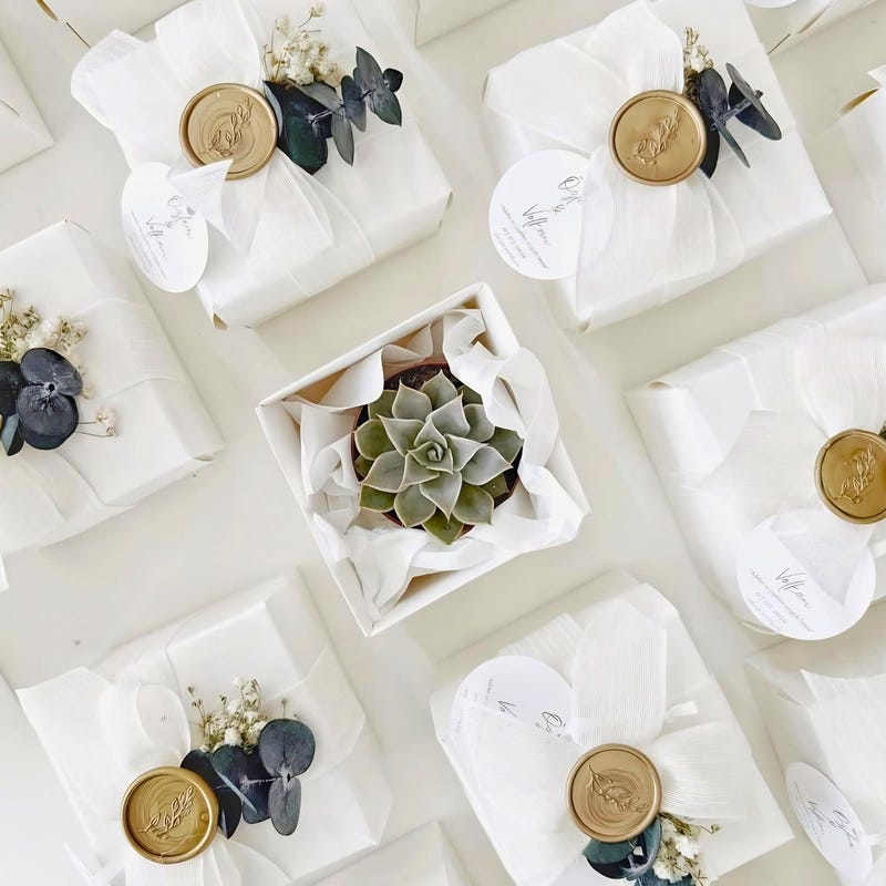 Custom Succulent Plants - Etsy UK