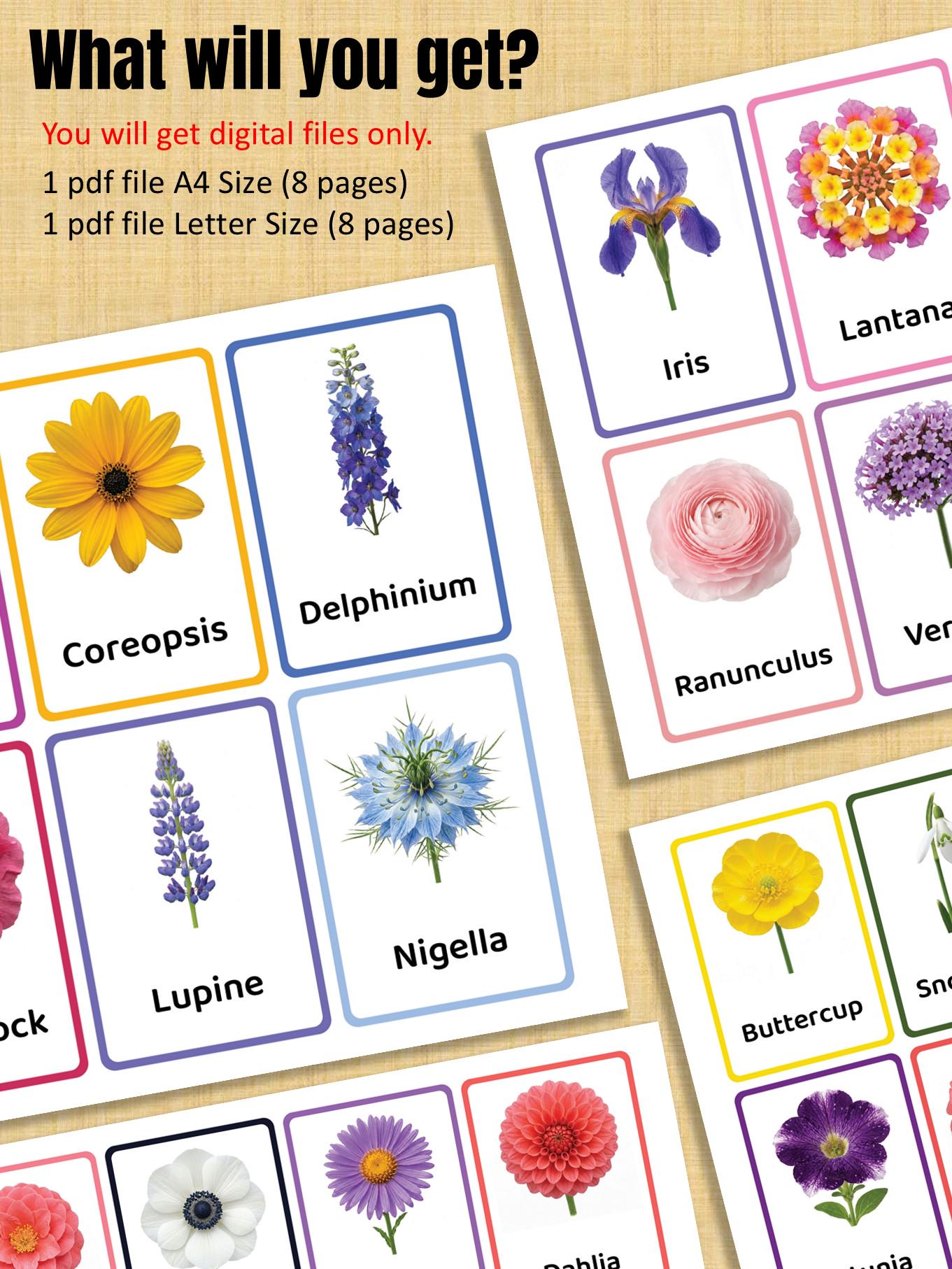 60 Flower Flashcards for Toddlers Printable, Montessori Nature Cards ...