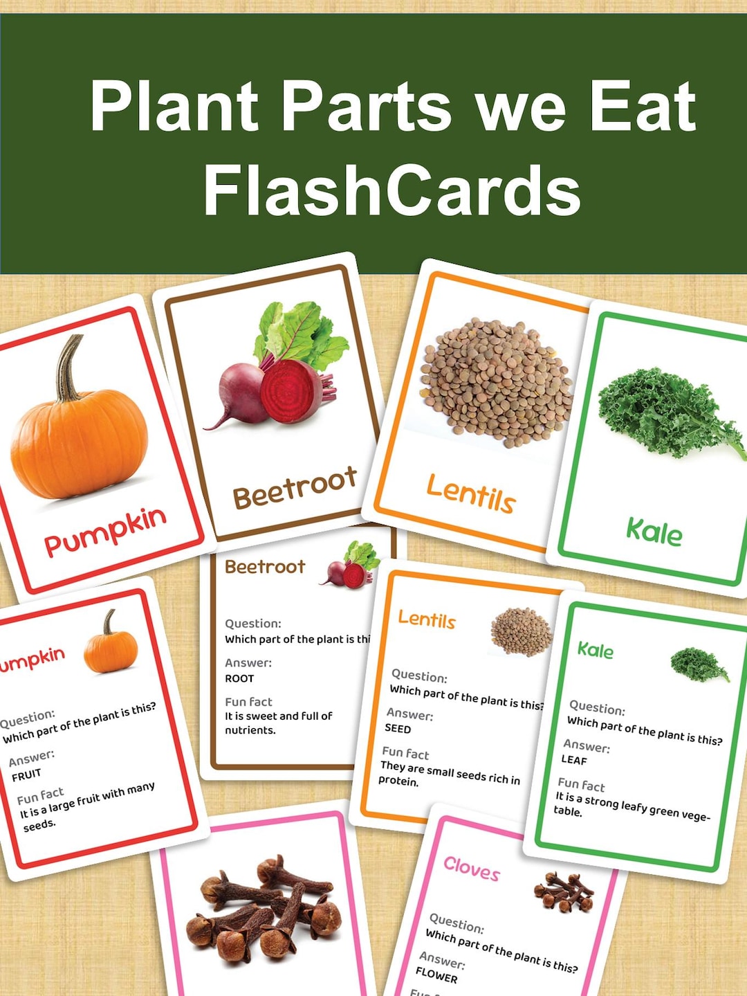 Plants We Eat Montessori Cards | Plant Parts We Eat Worksheet PDF Food ...