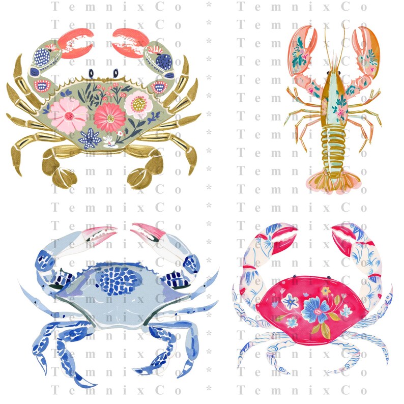 Coastal Sea Life Clipart Bundle | Watercolor Ocean Animals, Shells ...
