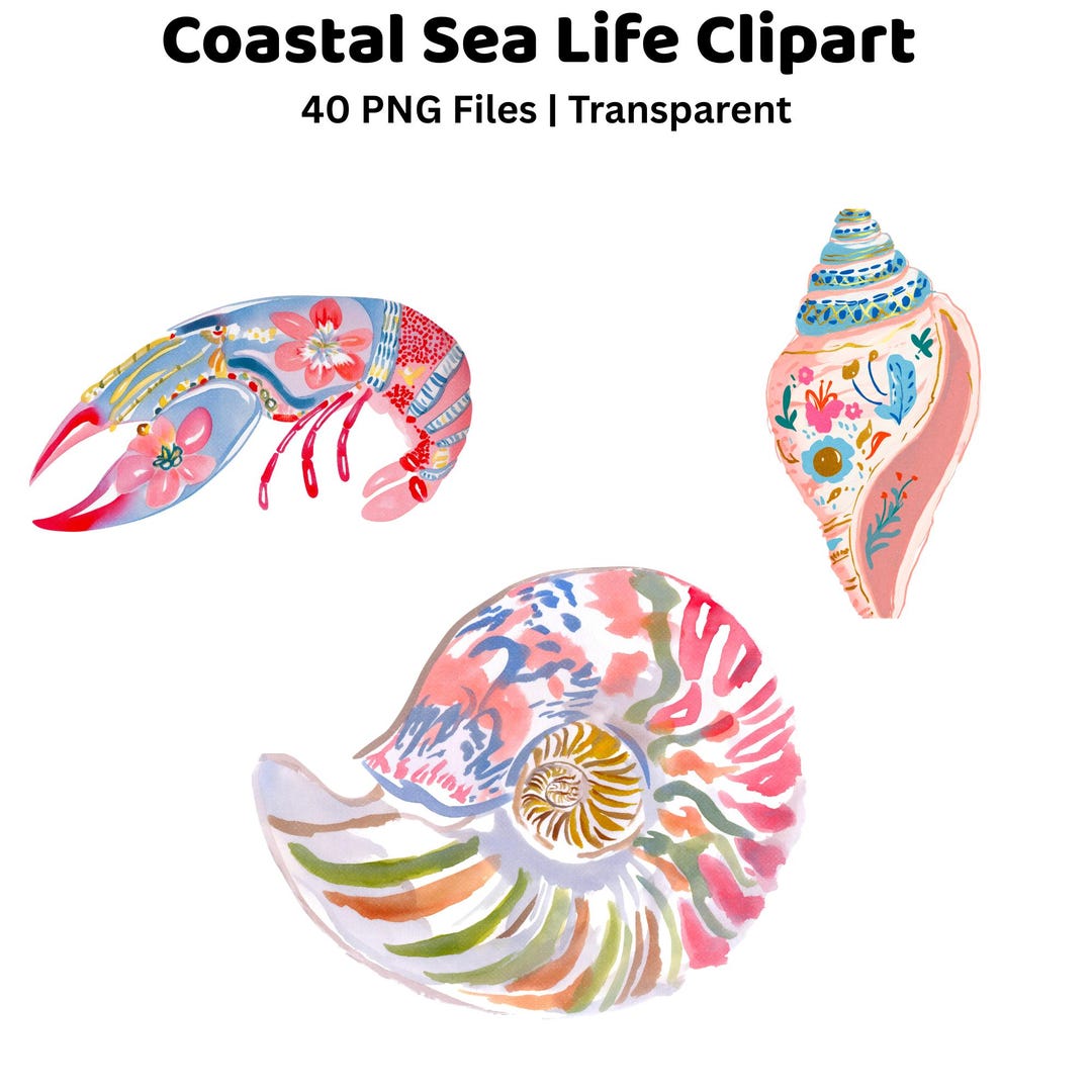 Coastal Sea Life Clipart Bundle | Watercolor Ocean Animals, Shells ...