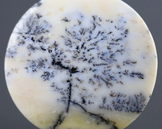 Dendritic Agate Merlinite Tree Like Landscape Scene Flatback Round ...