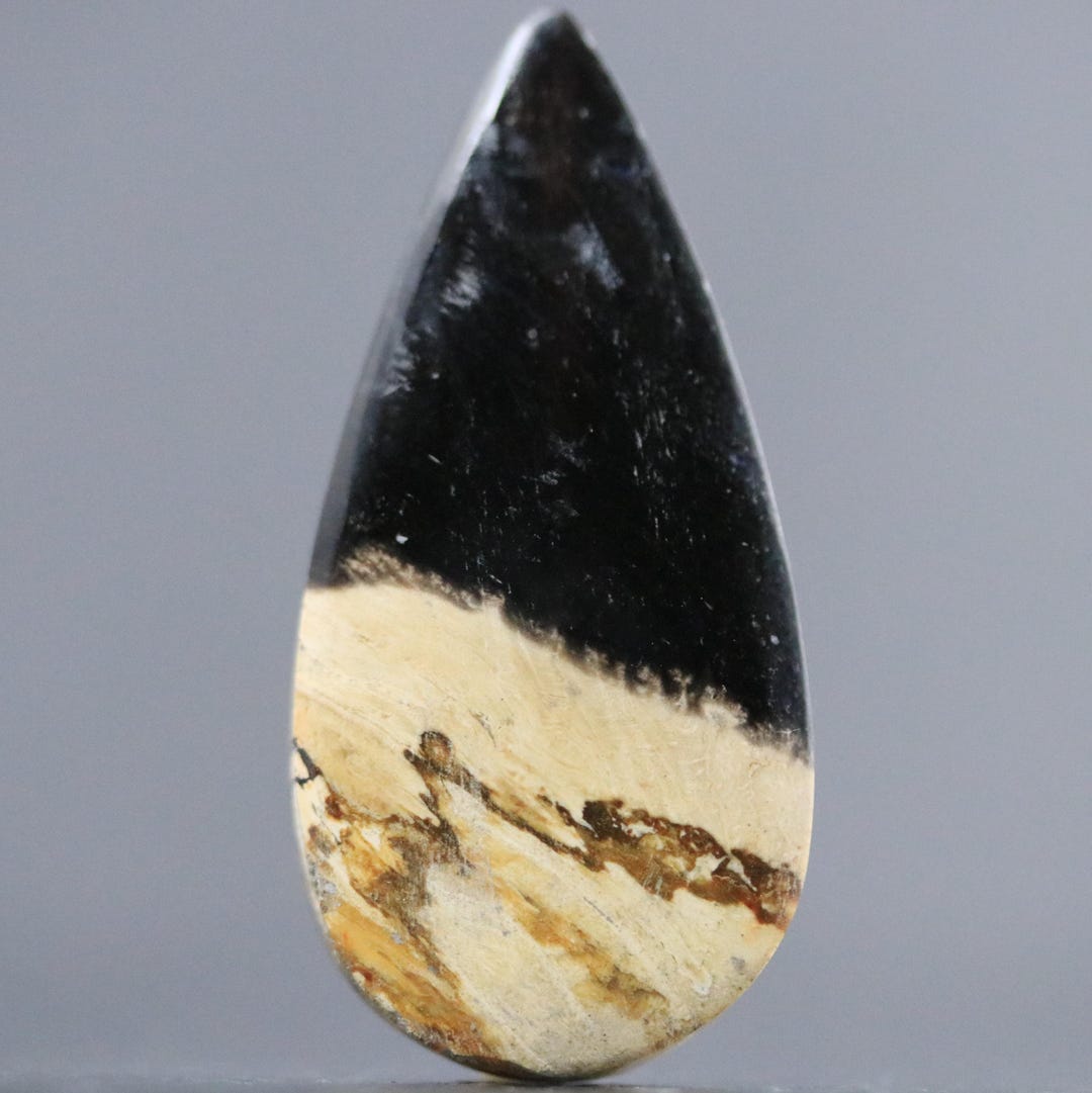 Teardrop Palm Root Fossilized Gemstone Statement Cabochon With ...