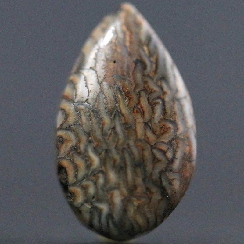 Snakeskin Agate - Etsy