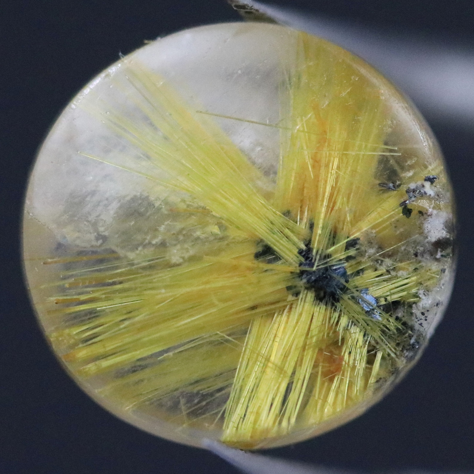 Full Gold Star Quartz Rutile Venus Hair Golden Rutilated Quartz Round ...