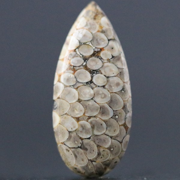 Snakeskin Agate - Etsy