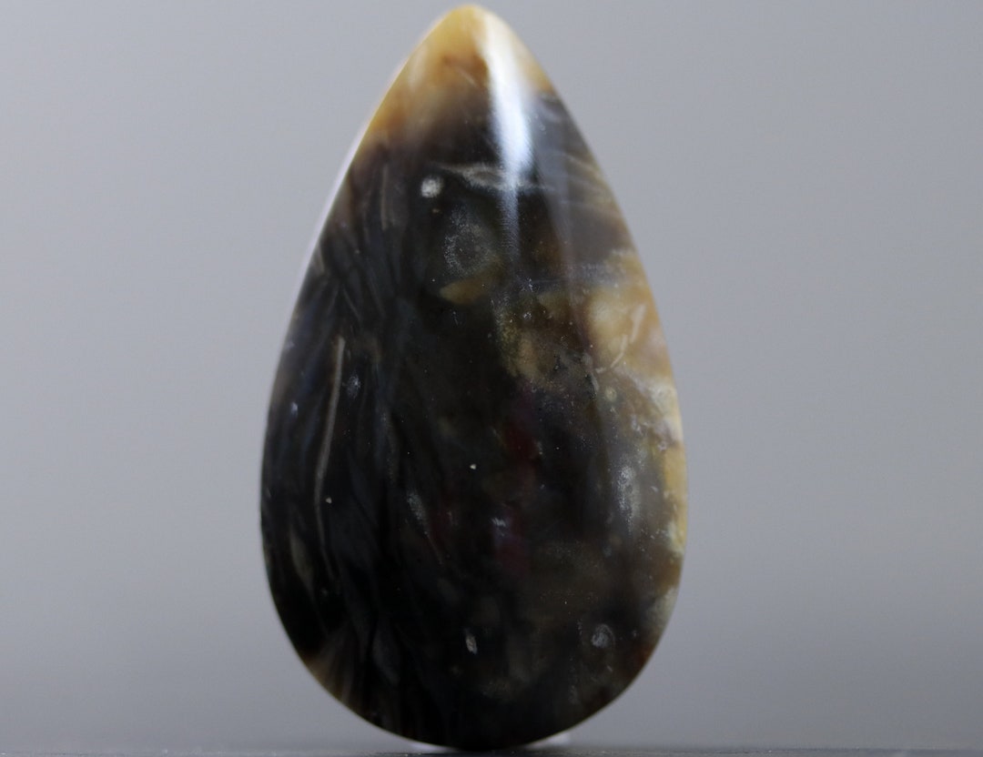 CLEARANCE Feather Agate Stone Fossilized Foraminifera Fossil Polished ...