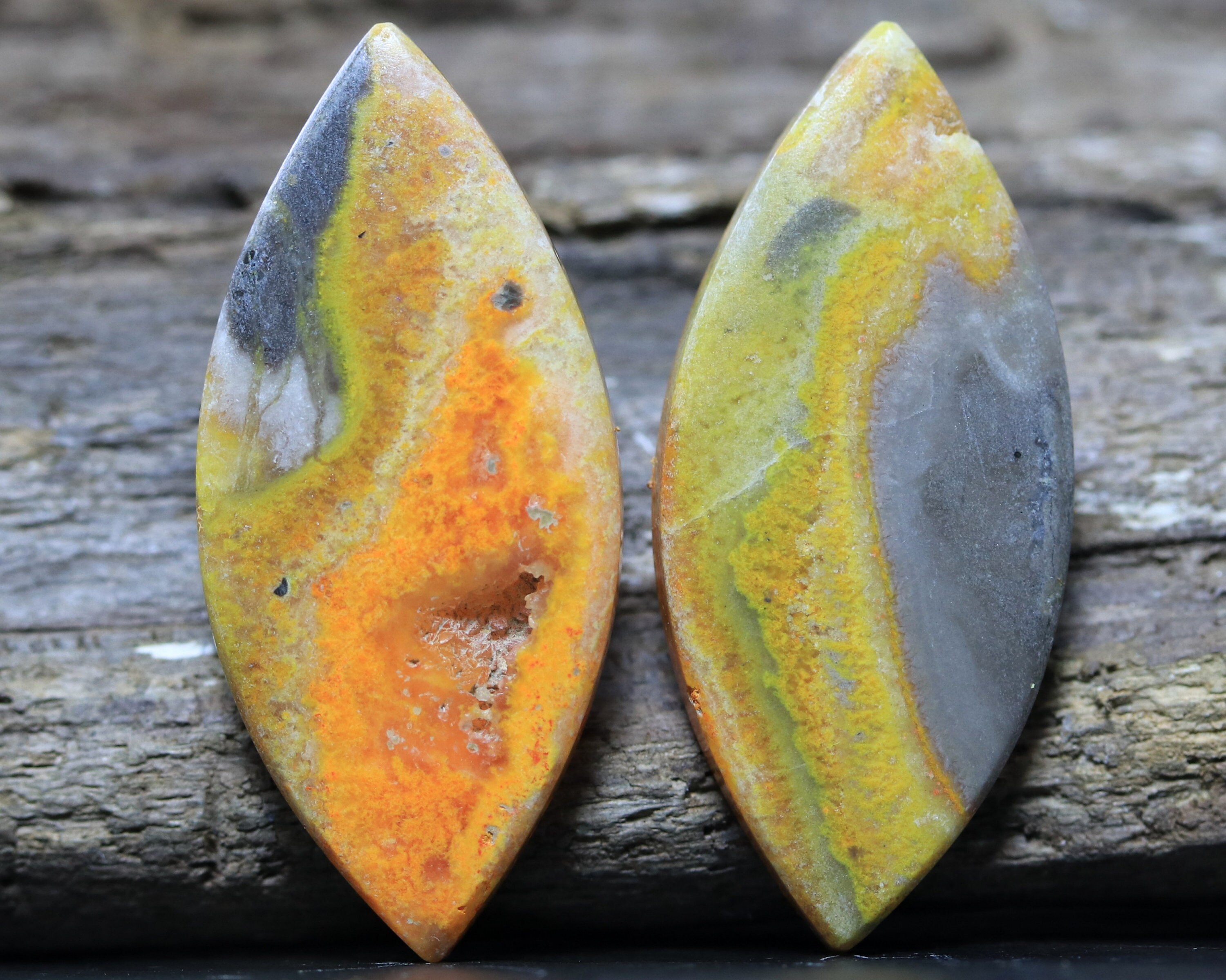 Gemstones Craft Supplies & Tools CLEARANCE Pair Bumblebee Agate ...