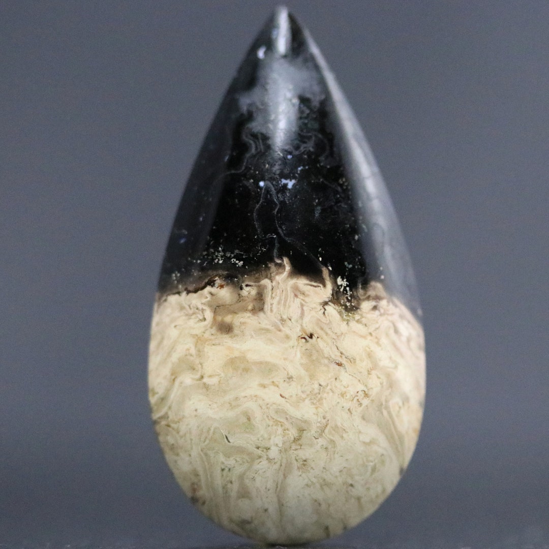 Bicolor Fossil Gem Root Palm Tree Petrified Wood Birds Eye Agate ...