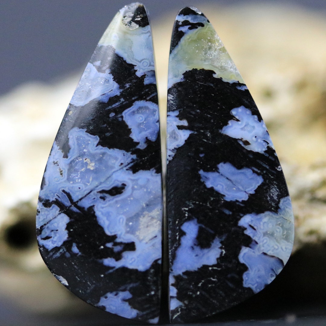 Fossil Dinosaur Bone Set Gemstone Pair Gembone Earring and Jewelry ...