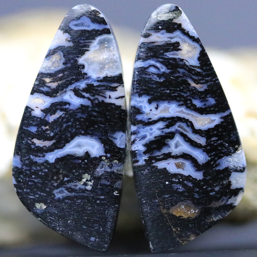 Pair Black & White Gembone Dinosaur Bone Set for Earrings and Jewelry ...