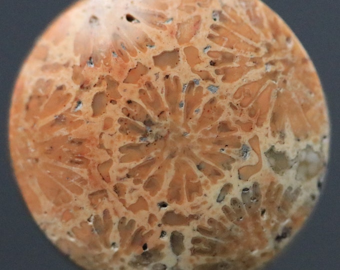 Agatized Coral Salmon Color Natural Untreated Gem Fossil Petoskey Stone ...