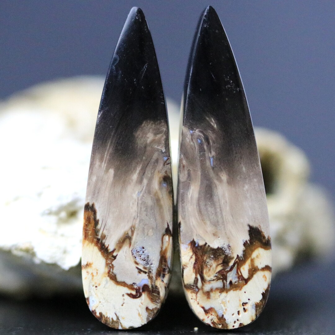 Elegant Pair Teardrop Birds Eye Set Opalized Pal Root Fossils Polished ...