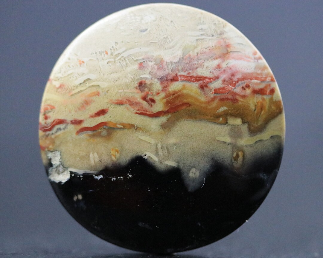 Palm Tree Root Fossil Bird's Eye Agate Cabochon 31MM 36 - Etsy