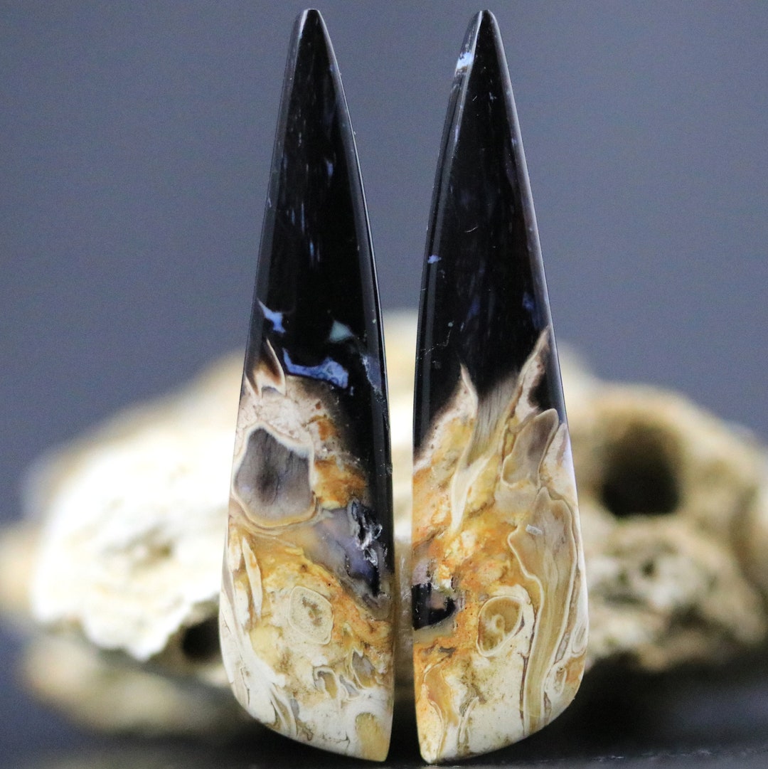 Fossil Palm Root Pair Beautiful Fire and Flame Pattern Matching ...