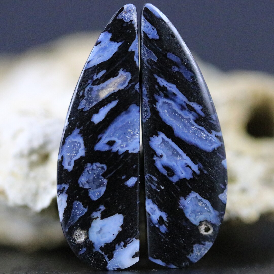 Gembone Dinosaur Bones Pair Black and White Specimen Earring Polished ...