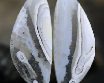 White Tubular Agate Gemstone Pair Wire Wrapping and Setting Earring and ...