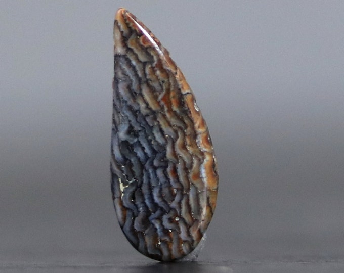 DESTASH Mouth Plate Fish Fossil Polished Gemstone - Etsy