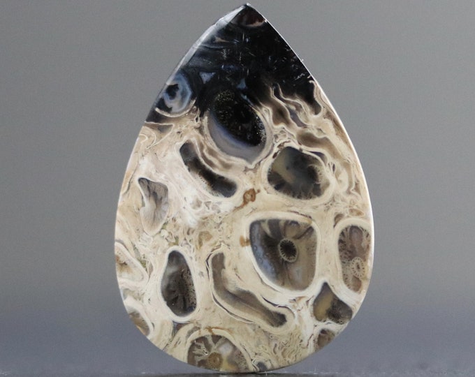 Birds Eye Agate Fossilized Root Gemstone Petrified Wood Cabochon Around ...