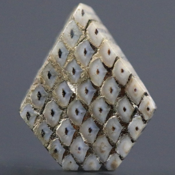 Snakeskin Agate - Etsy