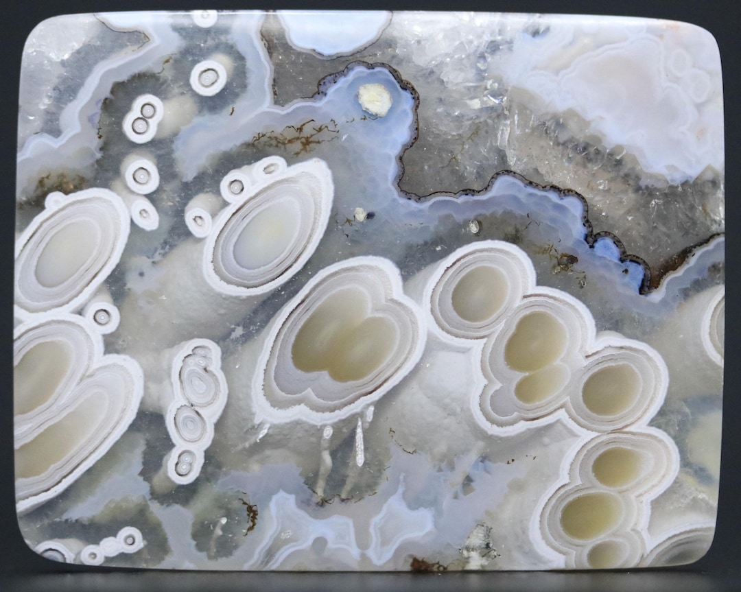 Orbicular Tube Agate & Dendrite Amazing Gem Specimen Polished Front and ...