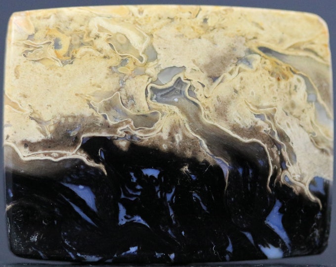 Palm Root Fossilized Gemstone Balancing Stone Yin and Yang Natural ...